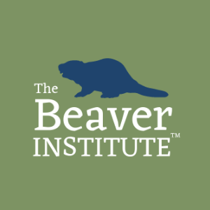 Beaver Institute | Tags Beaver evolution